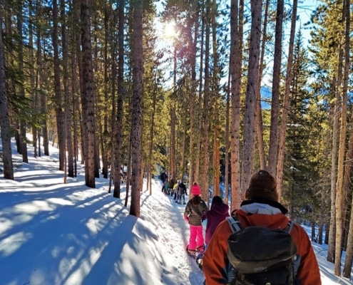 Friends of the Dillon Ranger District: Winter Programs - Breckenridge ...